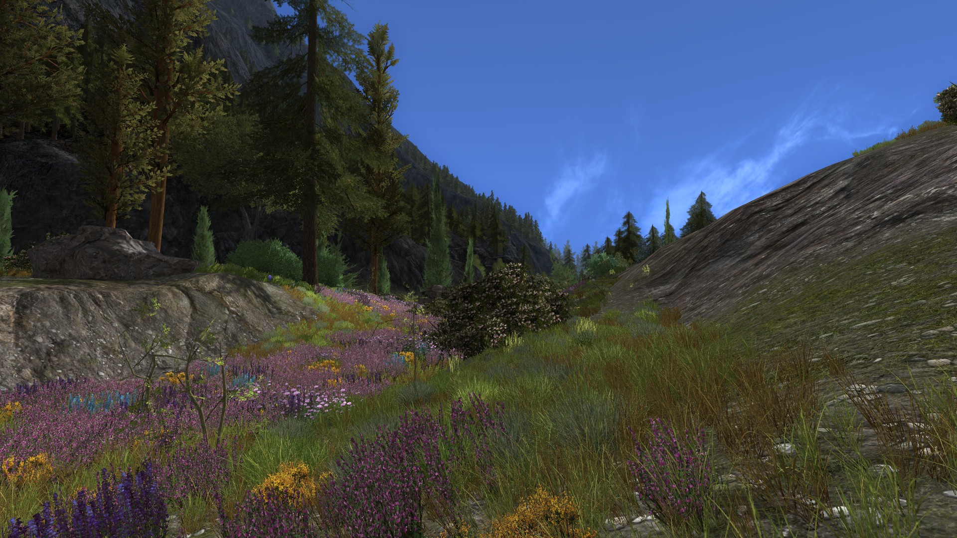 North Ithilien – A Preview in Pictures – LOTRO Players