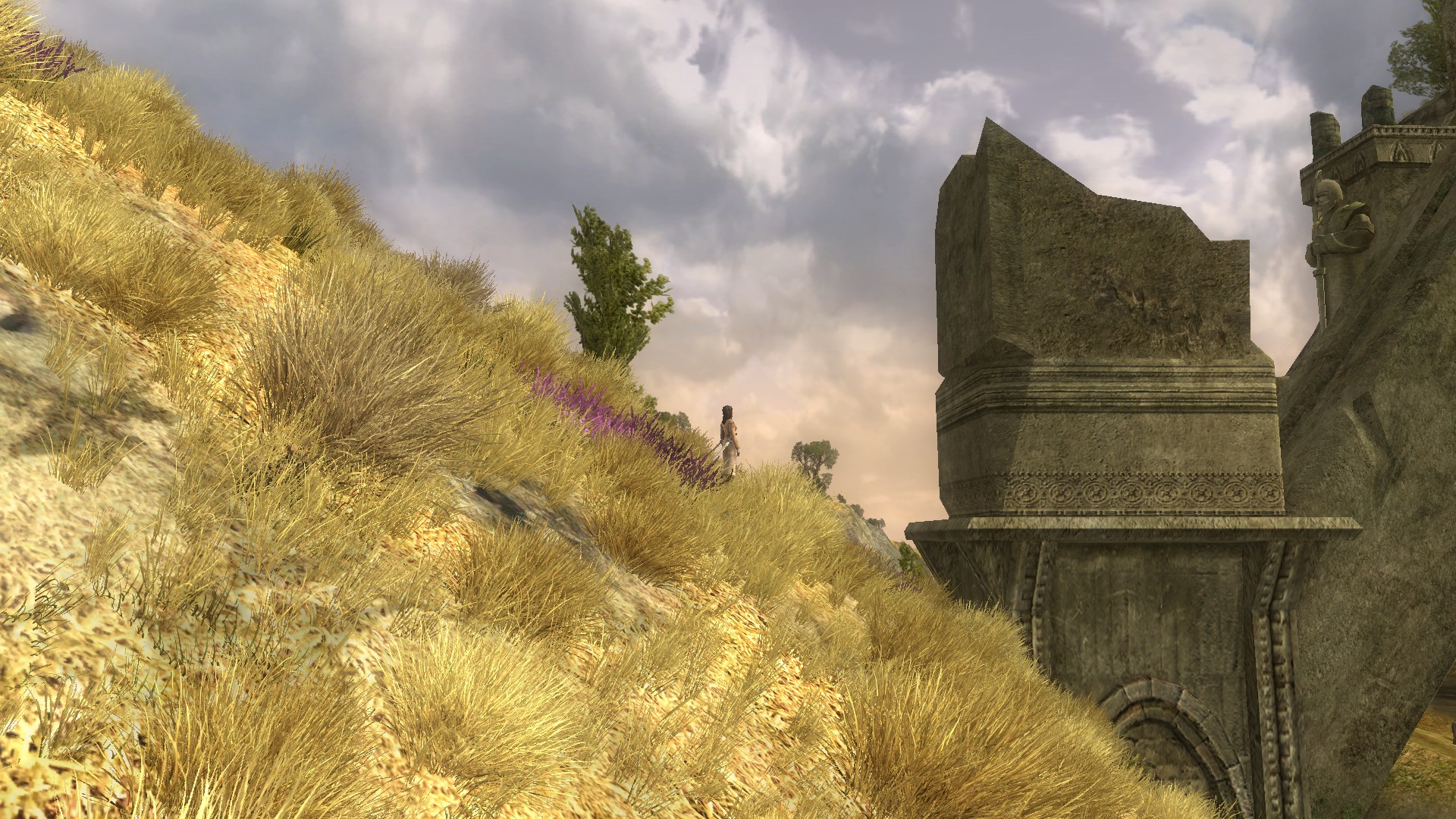 The Family Line Part 109 – The Path to Combe – LOTRO Players
