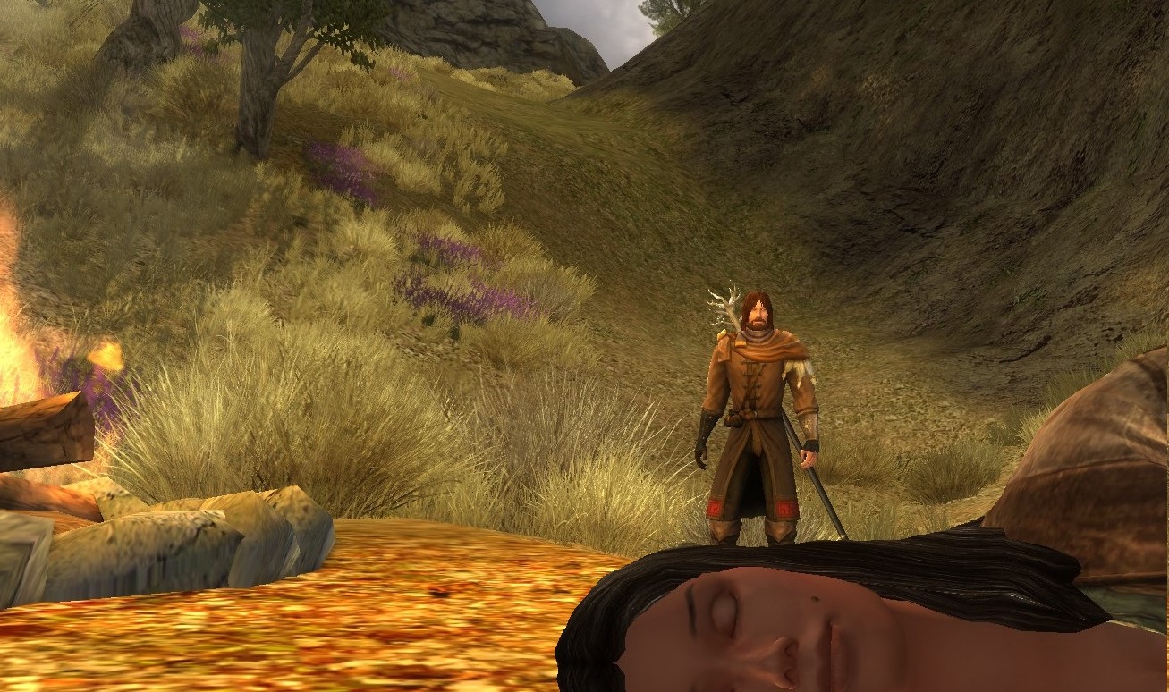 The Family Line Part 109 – The Path to Combe – LOTRO Players